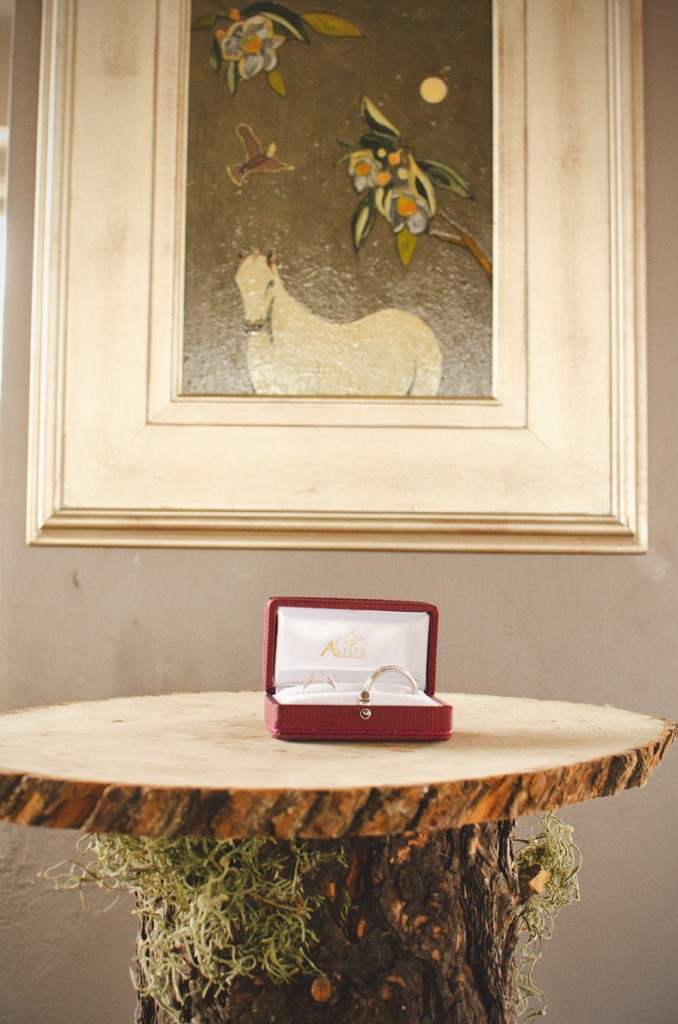Anthony and Amber Benes | Denver Wedding Photography | Photographer in ...