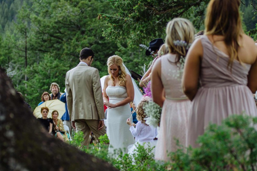 wedding-tree-jackson-wyoming | Photographer in Nashville, Murfreesboro ...